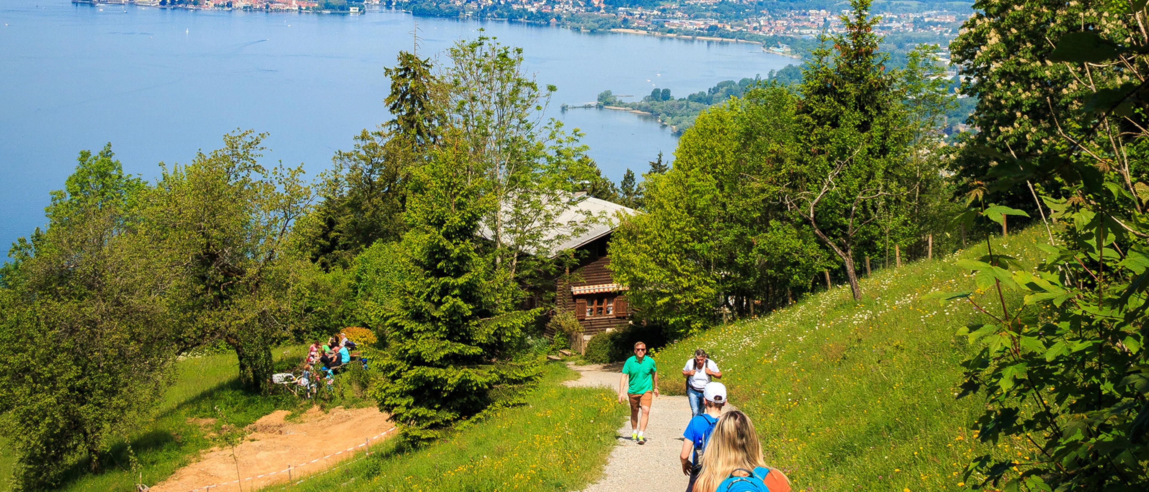 Wanderausflug zum Pfänder | BSB